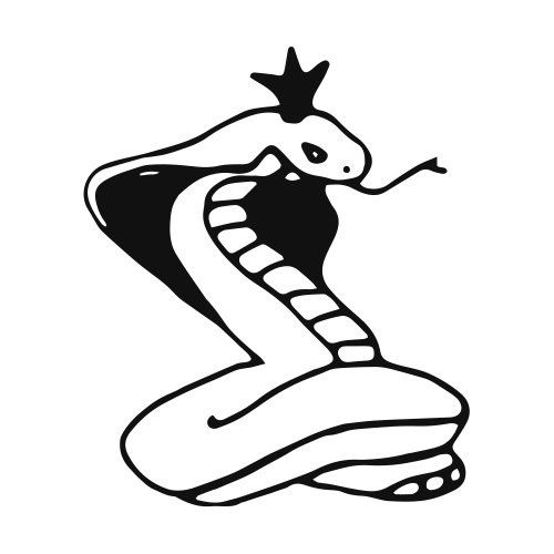 Cobra Rooter Service, Inc. | Professional Plumbing Services in Phoenix, AZ