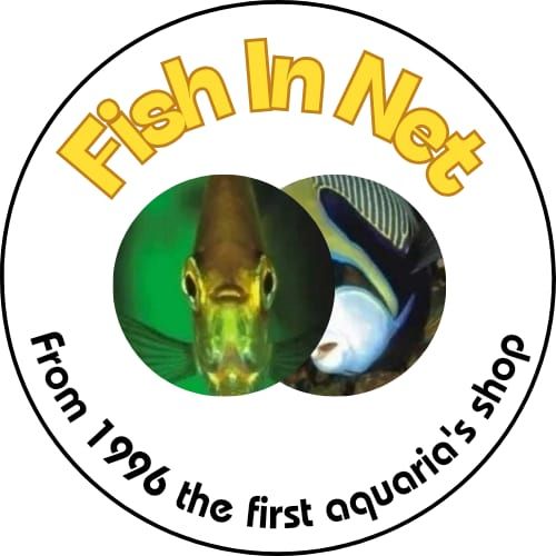 Vendita Di Pesci Piante E Accessori Per Acquario Consegna vendita-di-pesci-piante-e-accessori-per-acquario-consegna