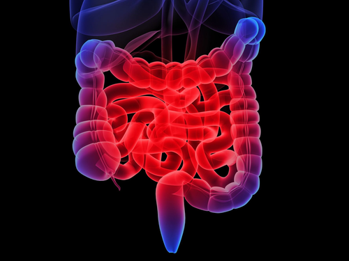 Colorectal Clinic Associates