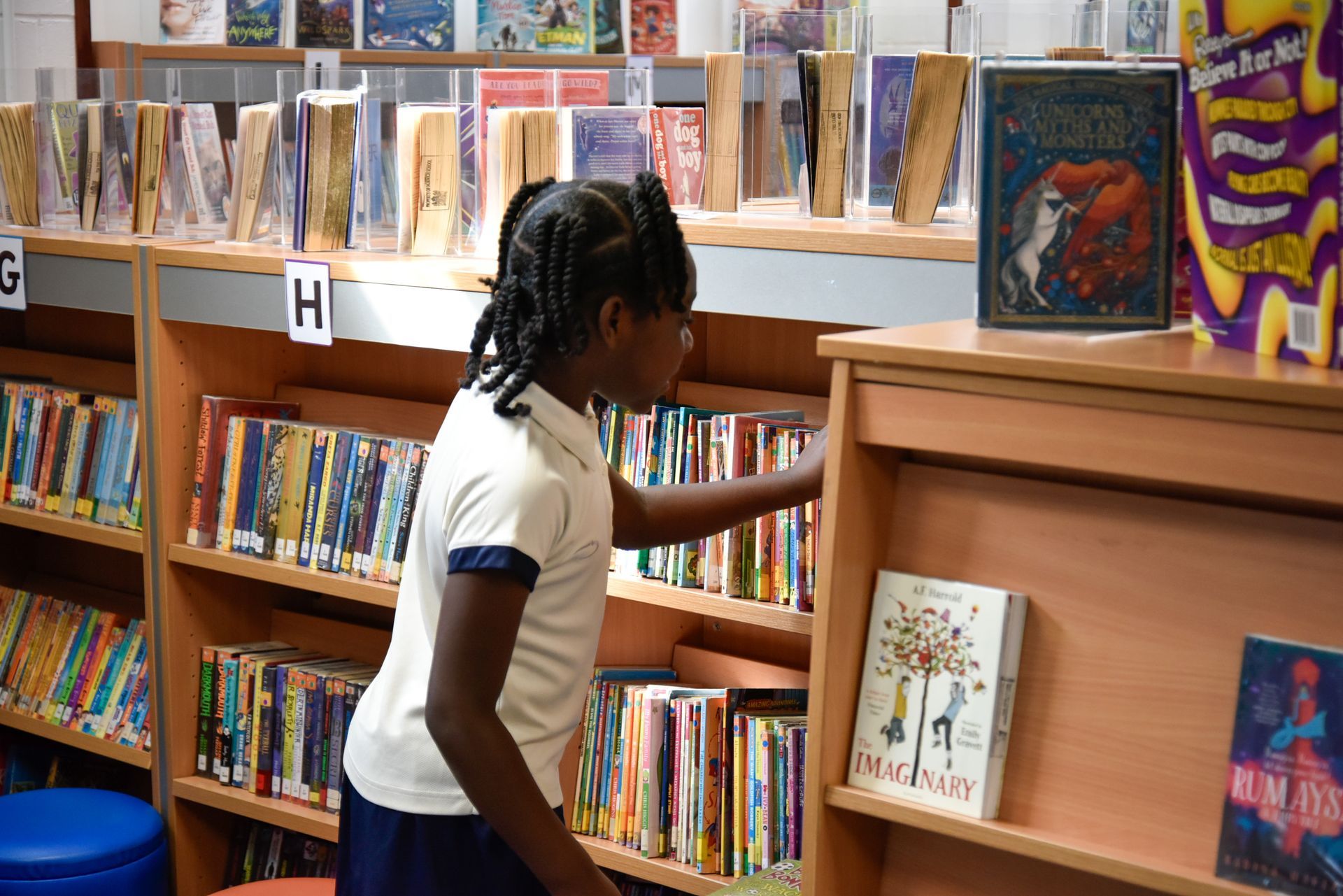 Libraries | Norwich School