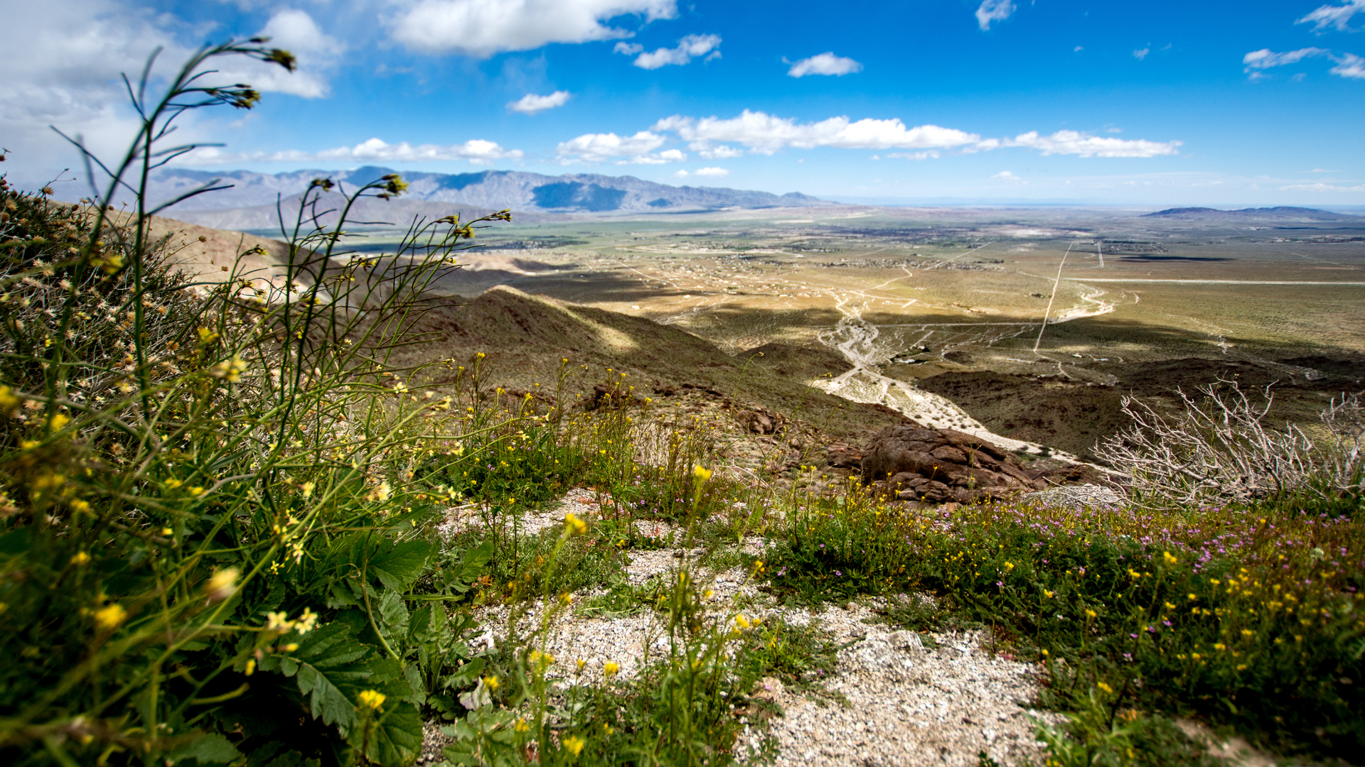 Borrego Springs: A Sustainable Desert Escape in California