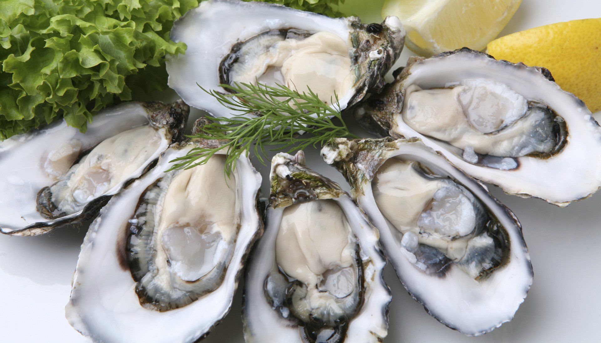Fish Market in Darwin | Darwin Fish Market
