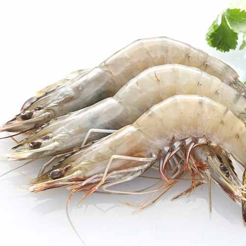 Fish Market in Darwin | Darwin Fish Market