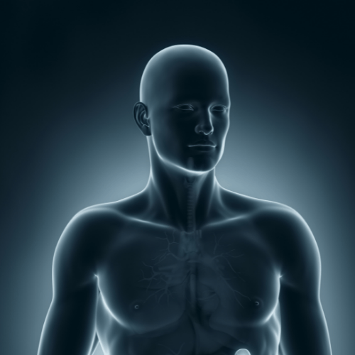 Surgery South Stockbridge Ga