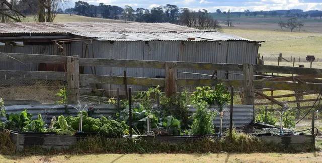 Farm Stay | Bald Blair Angus