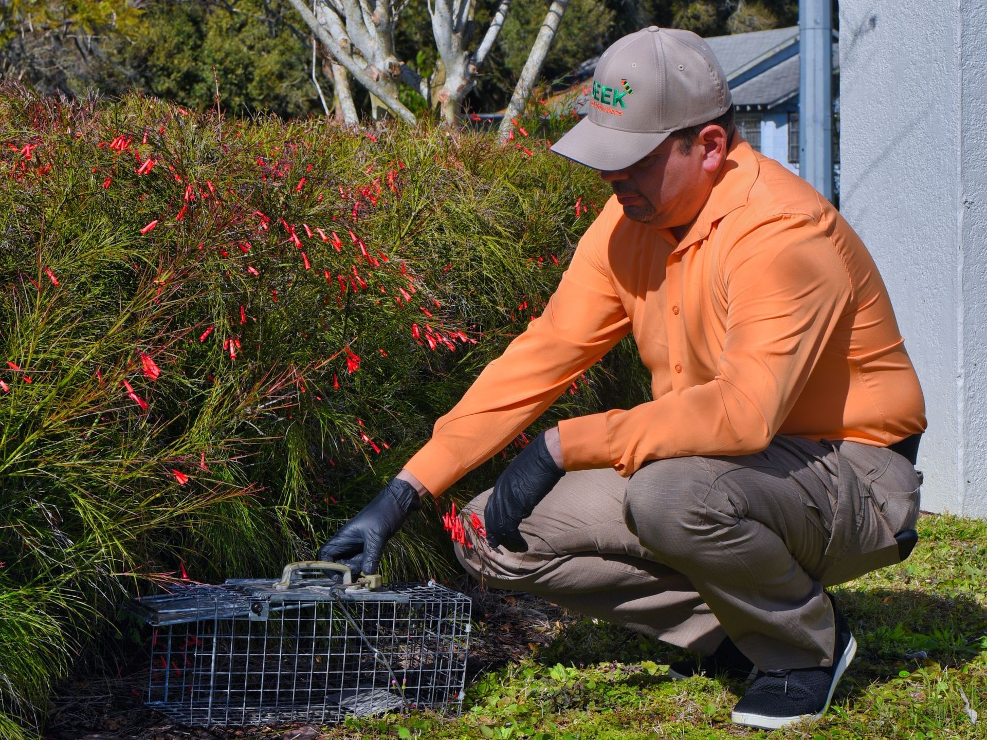 Home New Jersey Exterminator