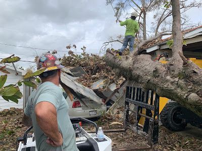 Tri County Tree Service | Tree Removal Jackson Mississippi