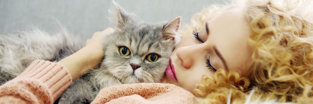Why Cats Make Wonderful Companions