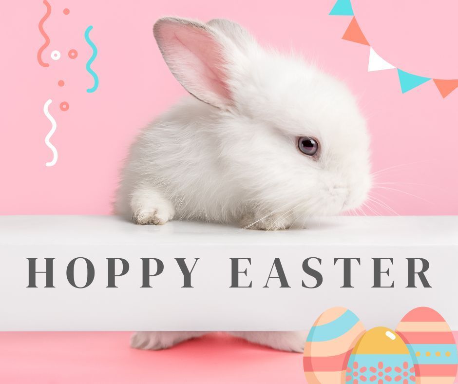 Easter Sunday Egg Hunts