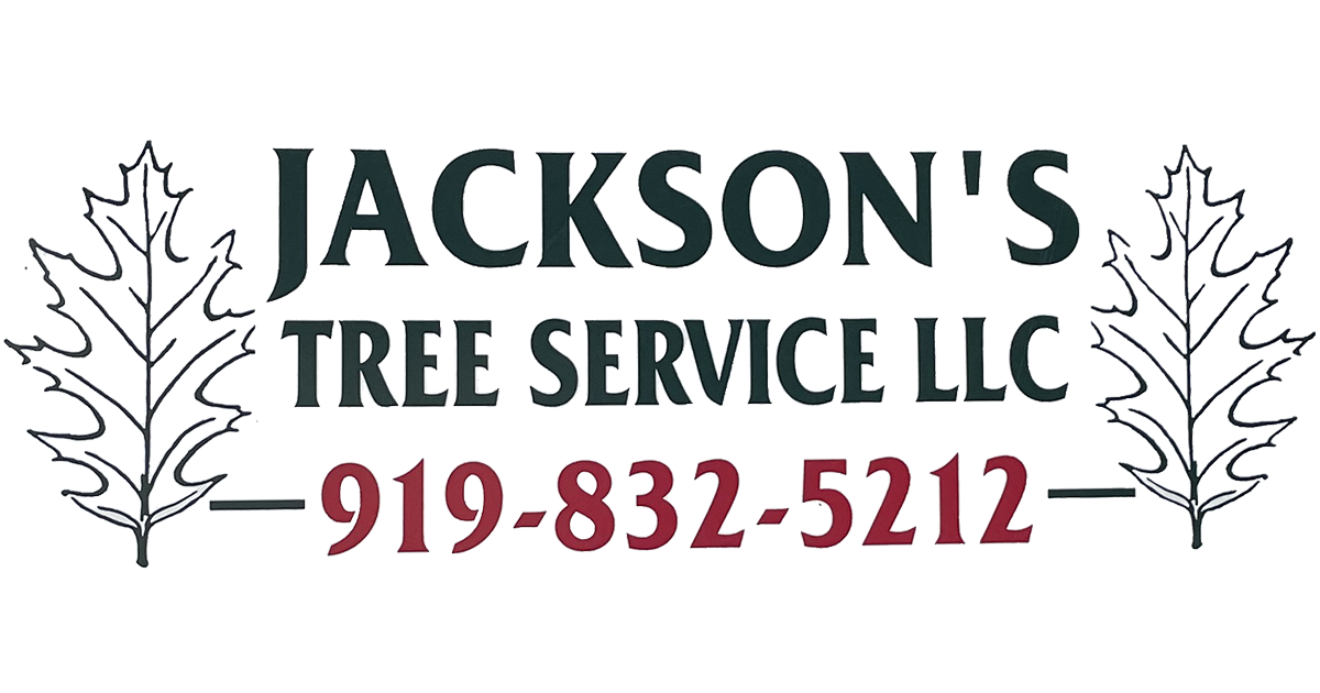 Professional Local Tree Trimming & Removal Service Fuquay Varina ...