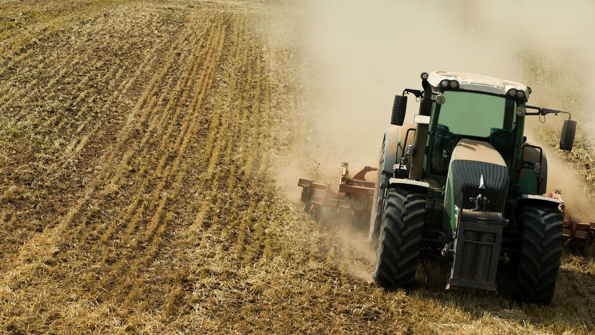 High-Quality Tiller Blades | Clean Cutter Flail & Tiller Blades