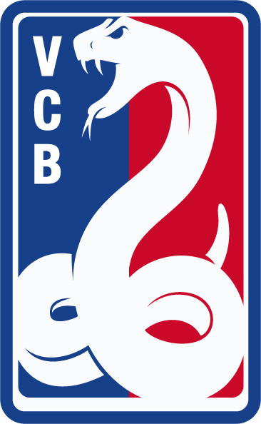 Vice City Basketball Academy