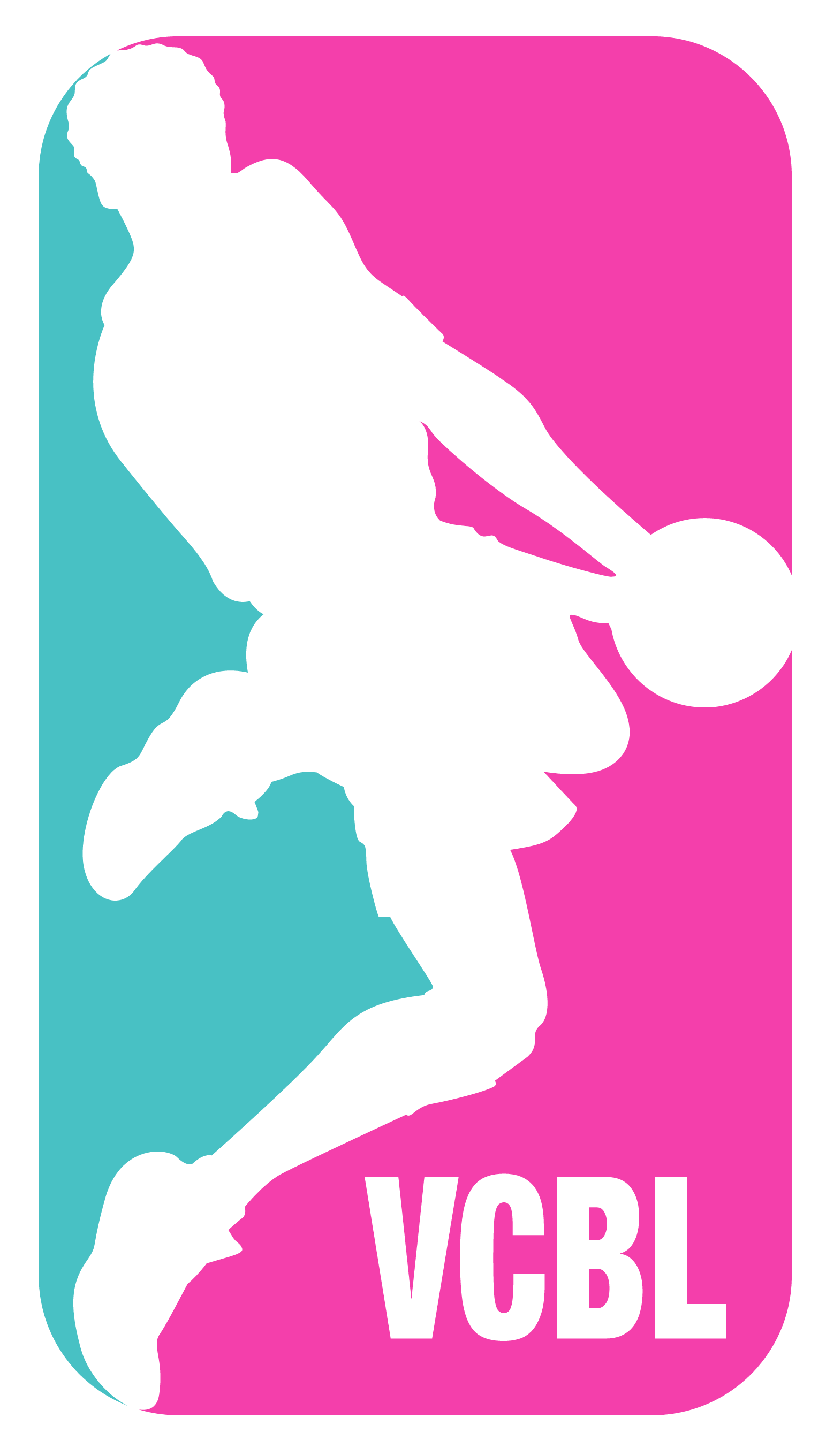 Vice City Basketball Academy