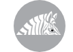 Practice ZEBRA - Patient News