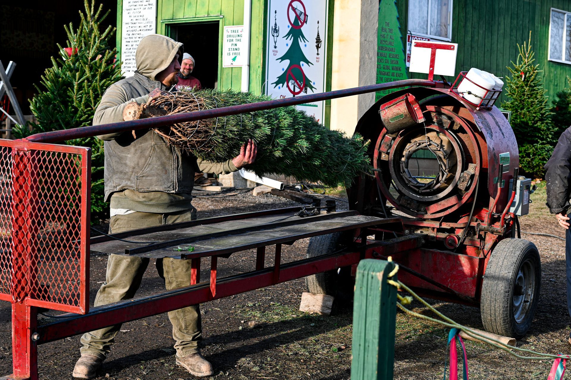 Old Homestead Tree Farm | Find Your Perfect Tree