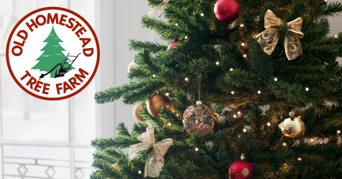 Old Homestead Tree Farm | Find Your Perfect Tree