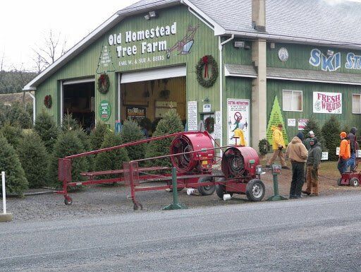 Old Homestead Tree Farm | Find Your Perfect Tree