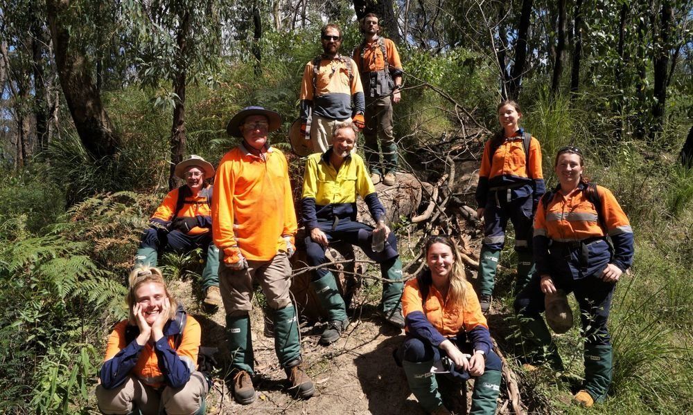 Working for Victoria Program | Chandler Macleod