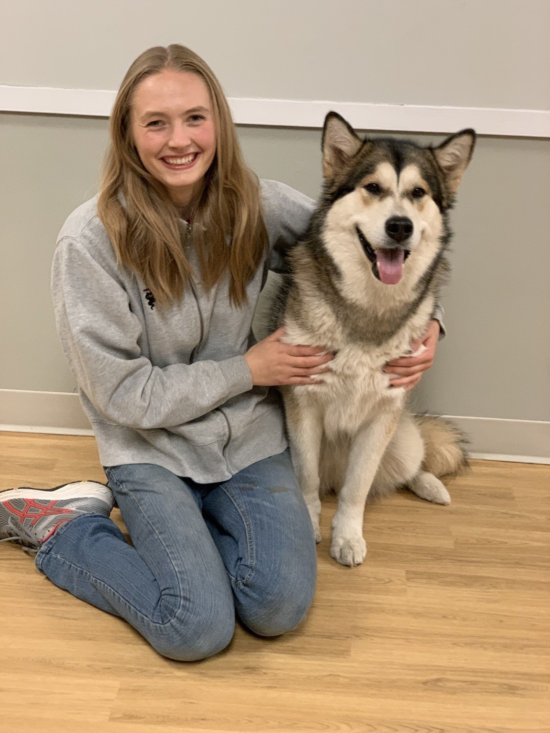 Vet Team | Marion, IA | Meier Veterinary Clinic