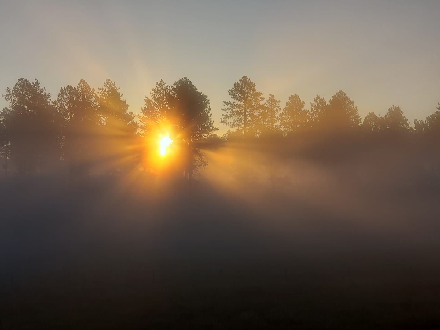 Photos & Video Gallery | Bridle Ridge Horse & RV Camp