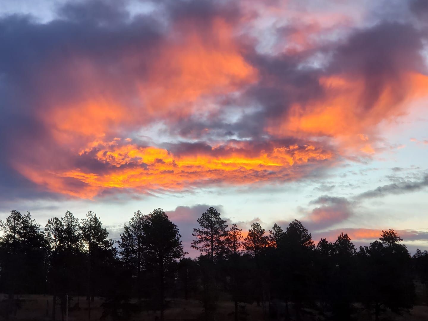 Photos & Video Gallery | Bridle Ridge Horse & RV Camp