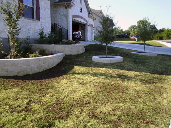 Photo Gallery | Texas Native Landscape - New Braunfels, Texas