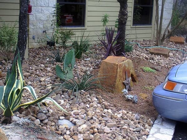 Photo Gallery | Texas Native Landscape - New Braunfels, Texas