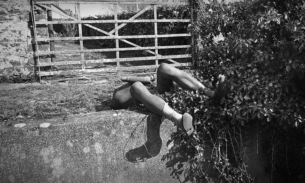 Pete Davis Photography