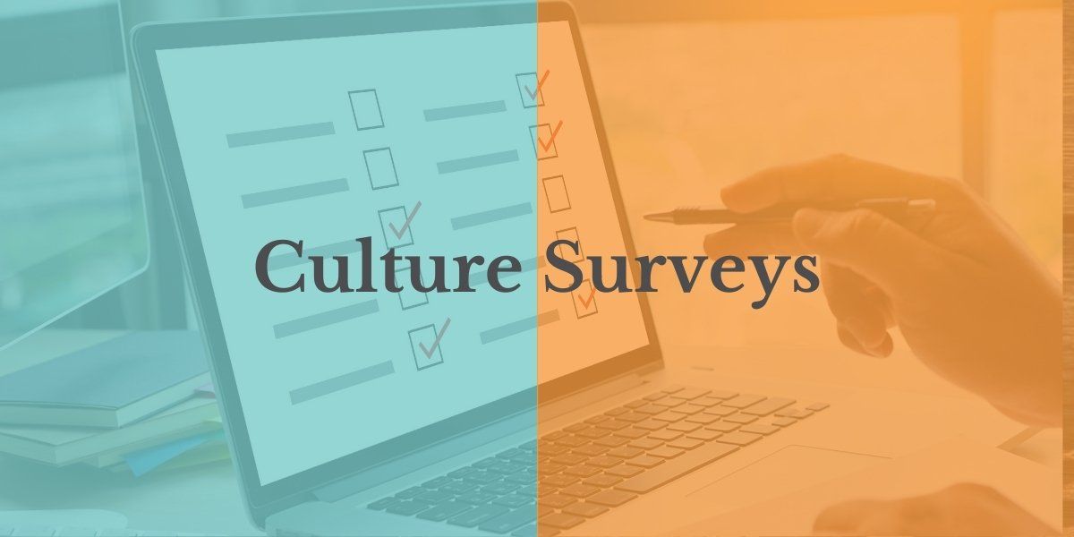 Best Organizational Culture Surveys Available For Your Company or Team