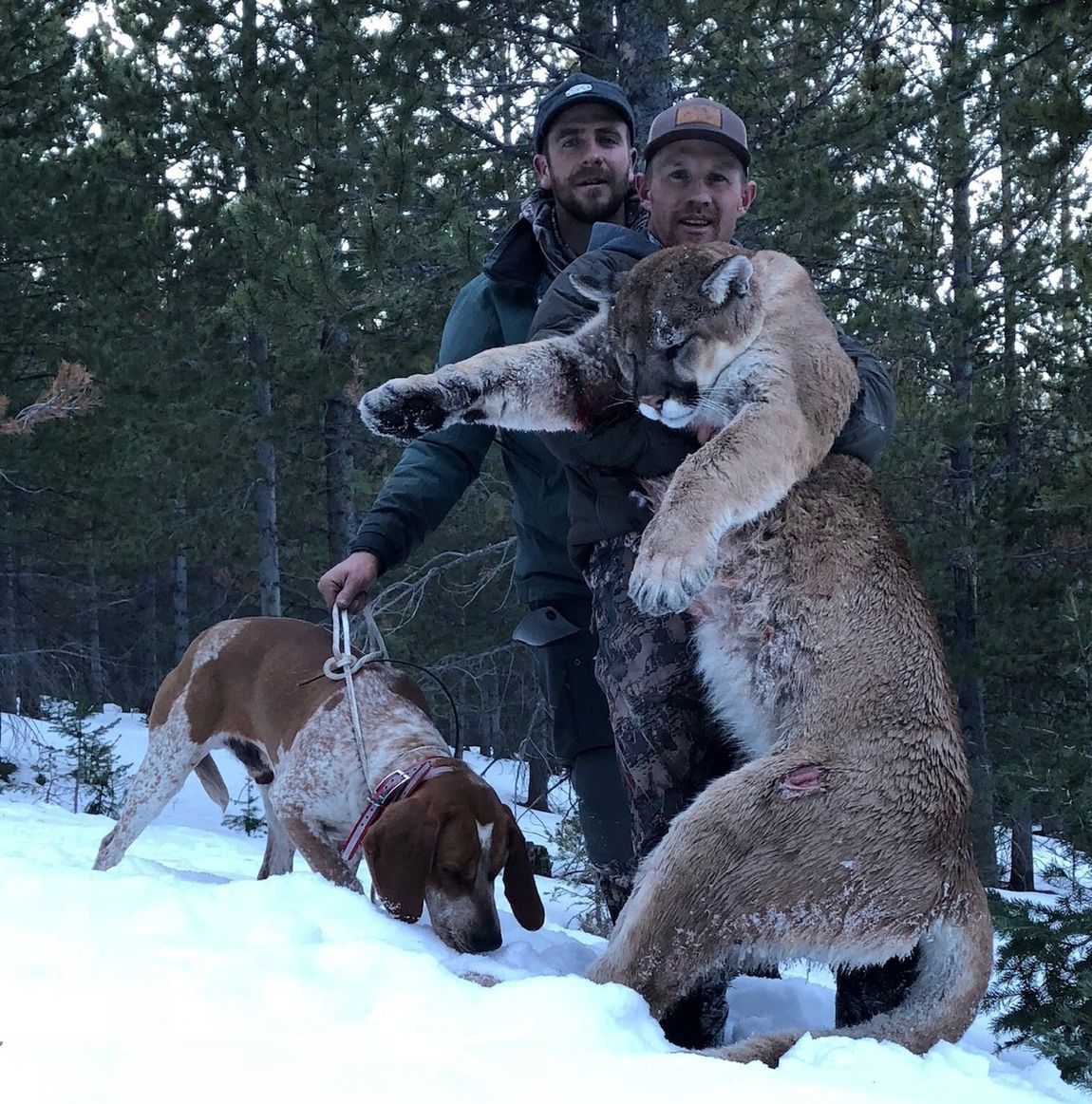 Wyoming Outfitter, WY Outfitters, Wyoming Hunting Guide