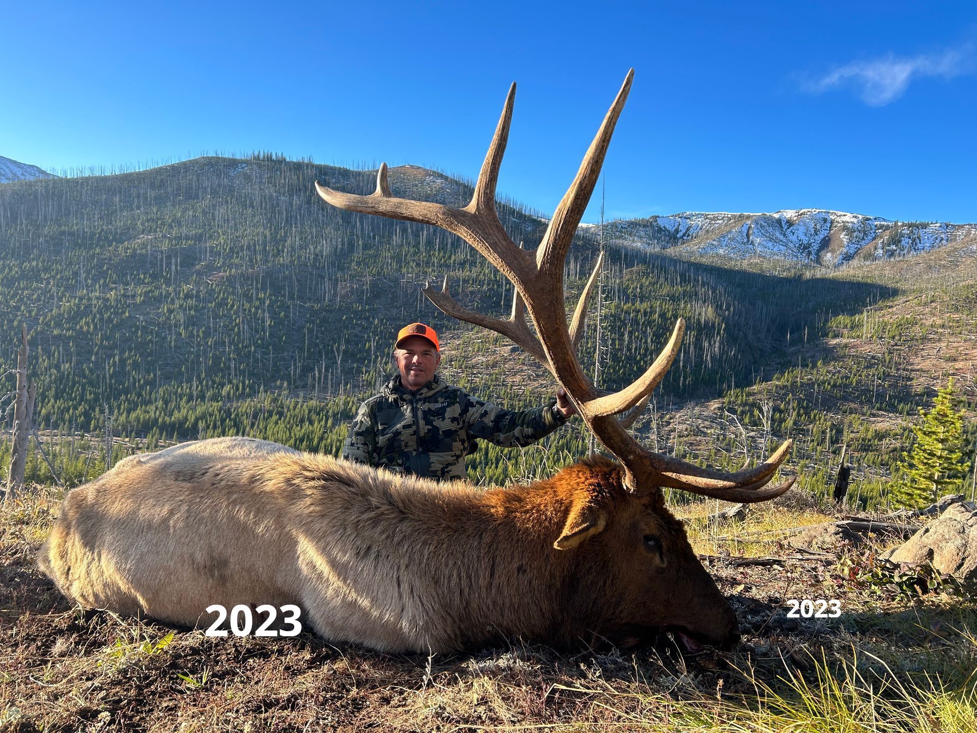 Western Wyoming Elk hunt | Wyoming Elk Guide | Wyoming Outfitter