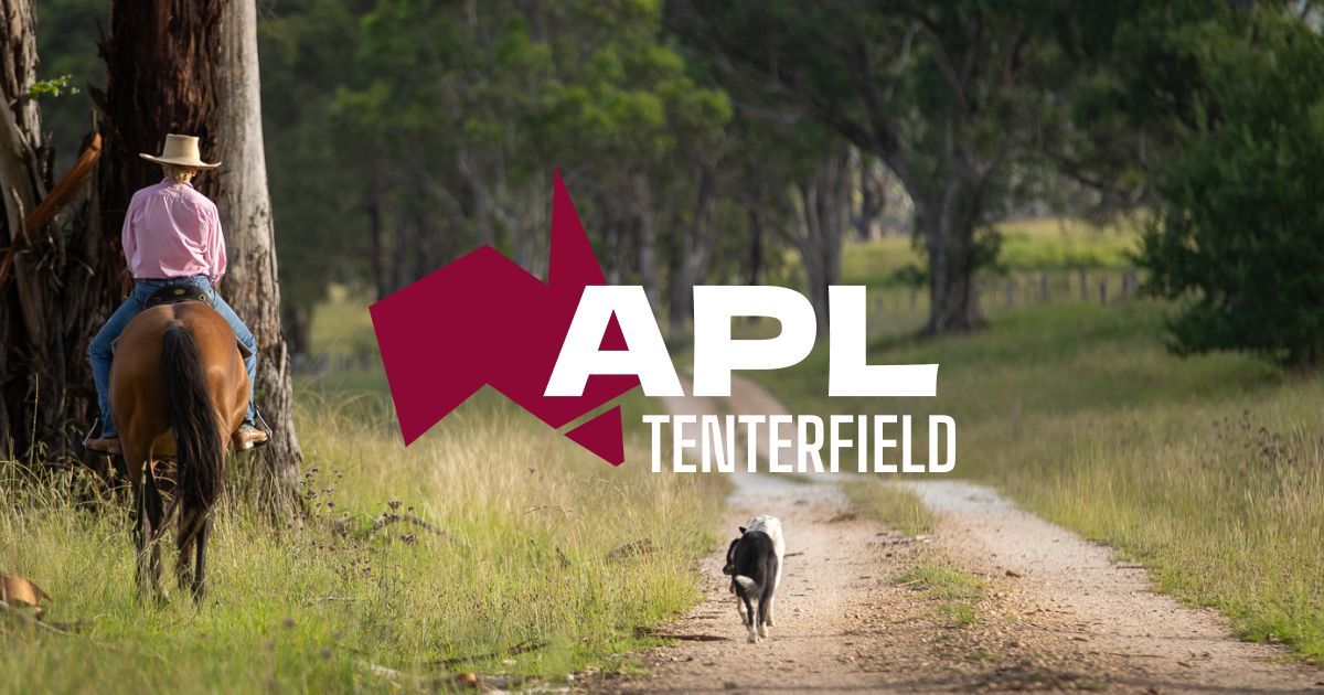 Livestock Market Reports | APL Tenterfield