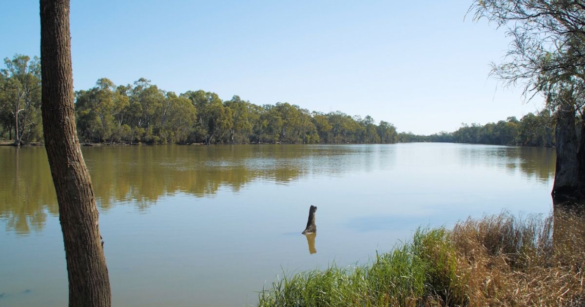 MVAC | Cultural Video Project