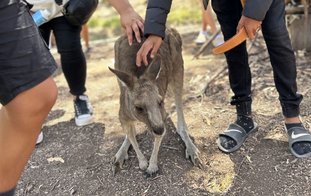 MVAC March 2023 newsletter