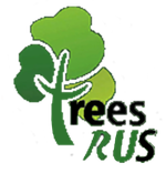 Arboricultural services | Trees R Us