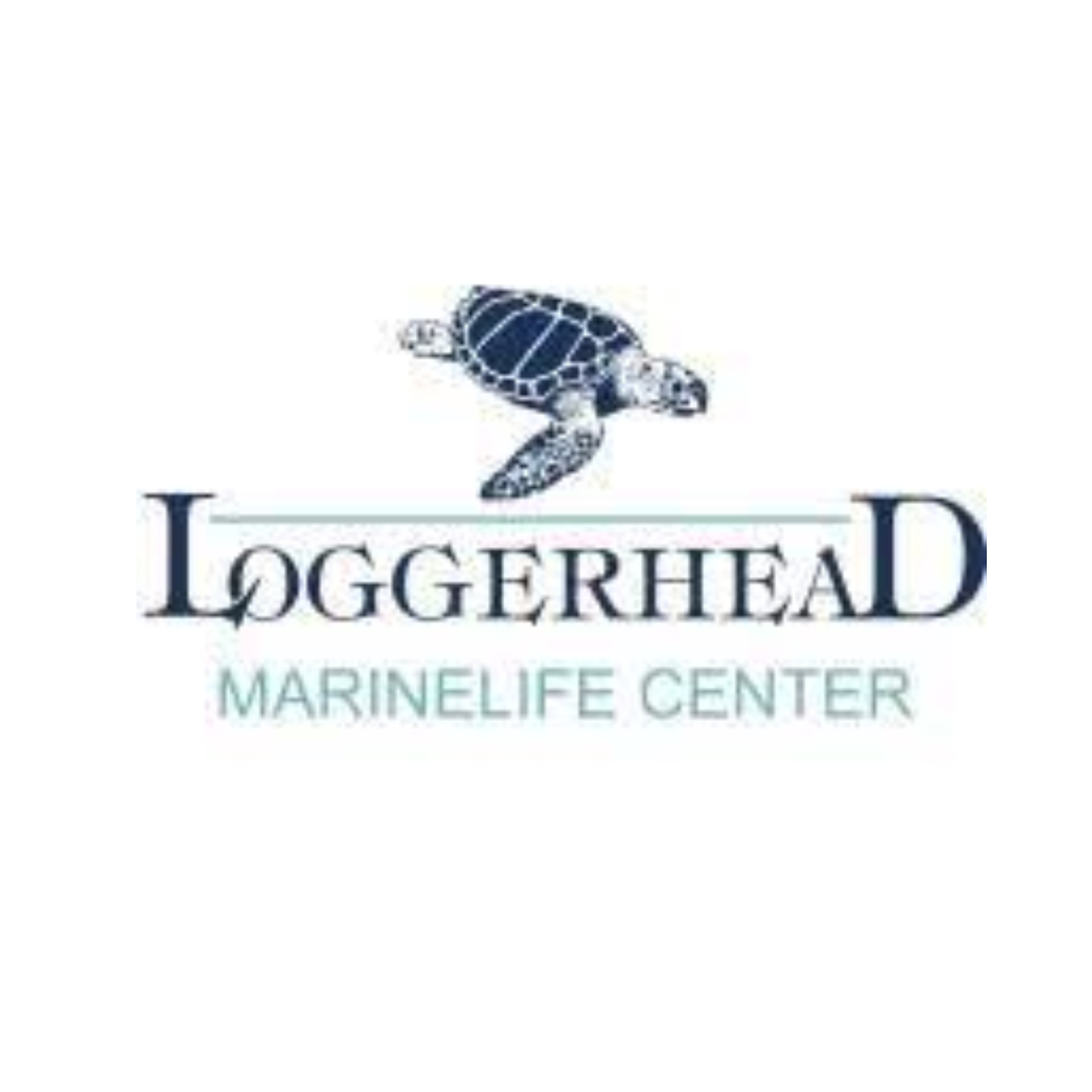 Explore Local Attractions Near Timberline Glamping, Jupiter, FL