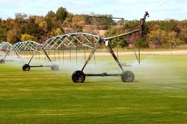 Snowhill Turf Farm - Fayetteville, NC - Home