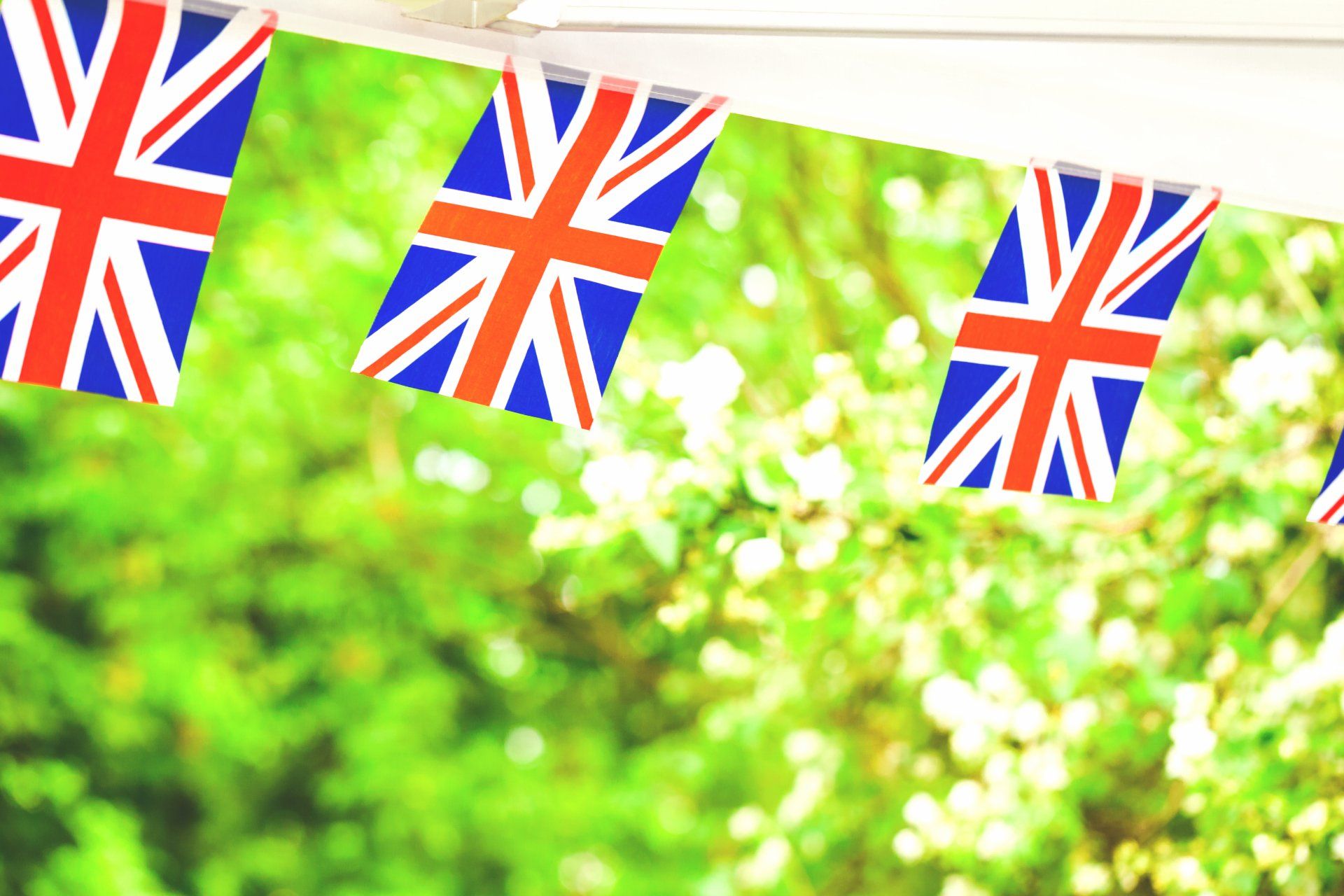 June Newsletter 2022