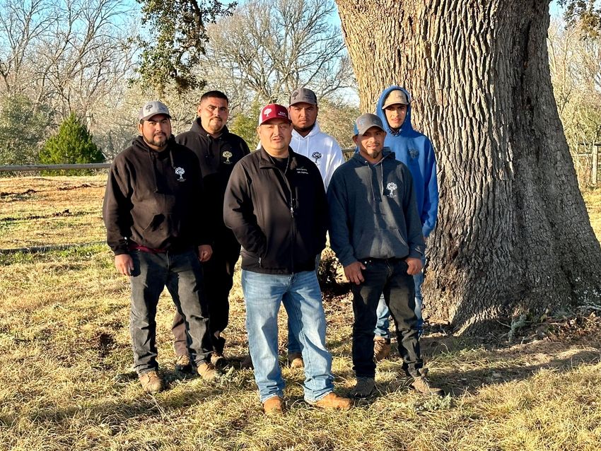 M&M Tree Care LLC - Top Rated Tree Service - Bastrop, Texas