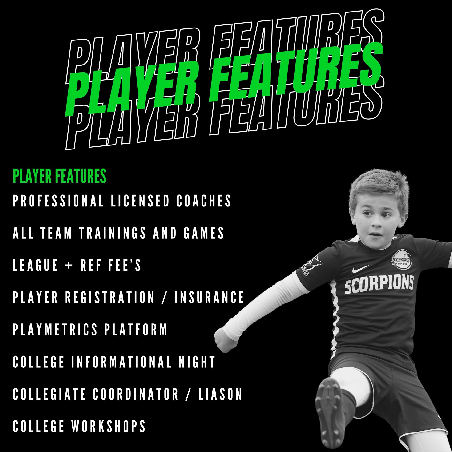 Scorpions Soccer Club