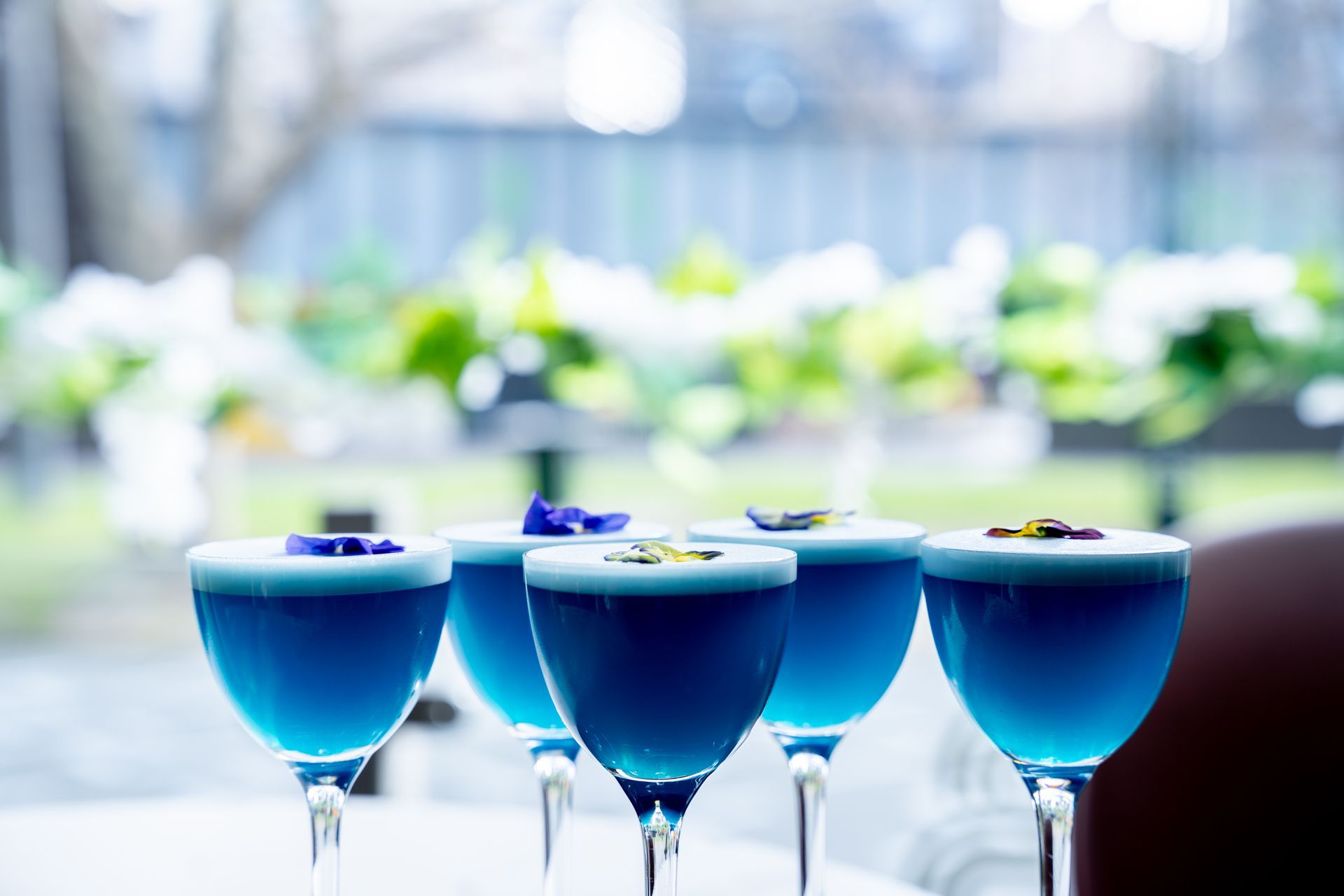 Southbank Restaurant, Events, Cocktail & Bar - Left Bank Melbourne