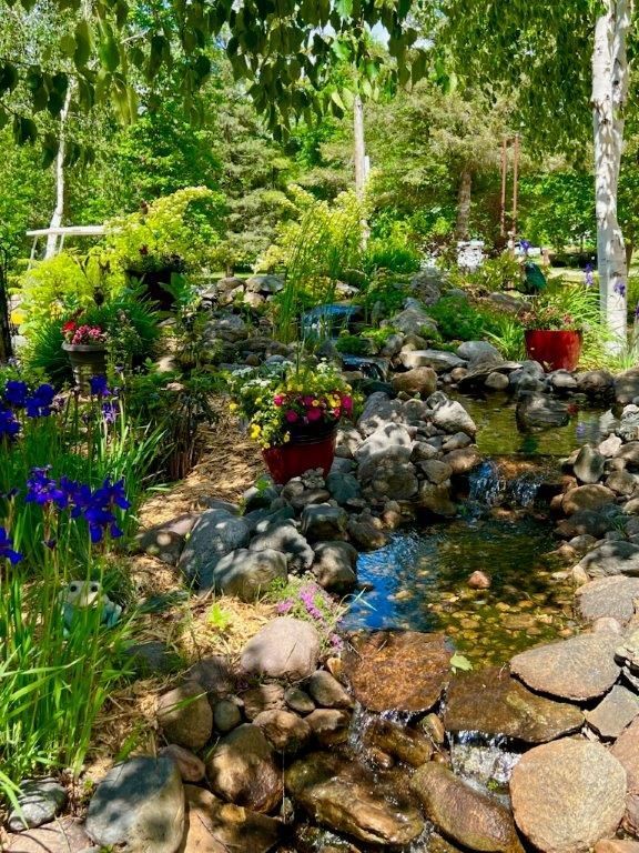 Photo and Video Gallery | Rainbow Resort