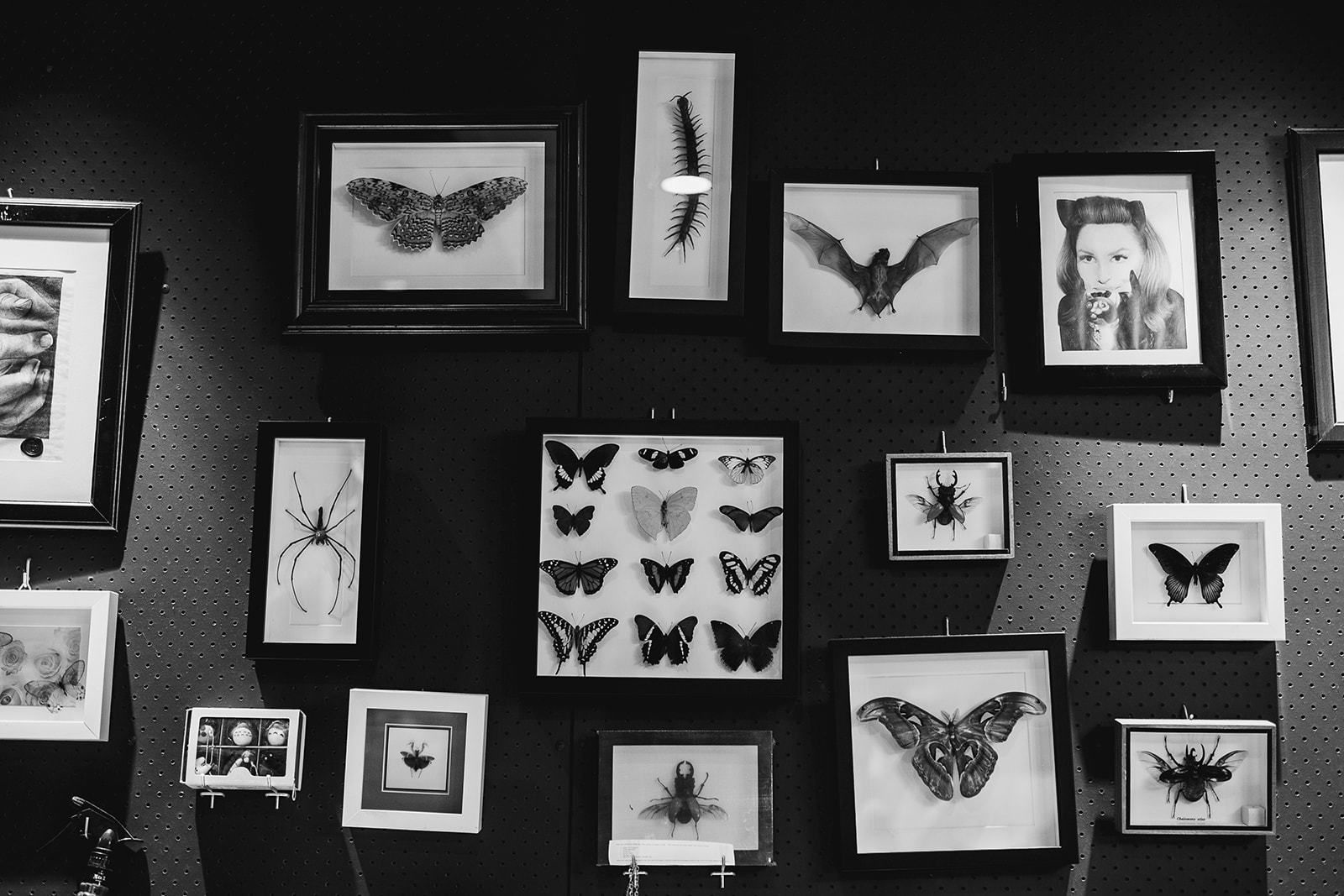2012 | Our Tattoo Studio | Custom Tattoo Studio Newcastle