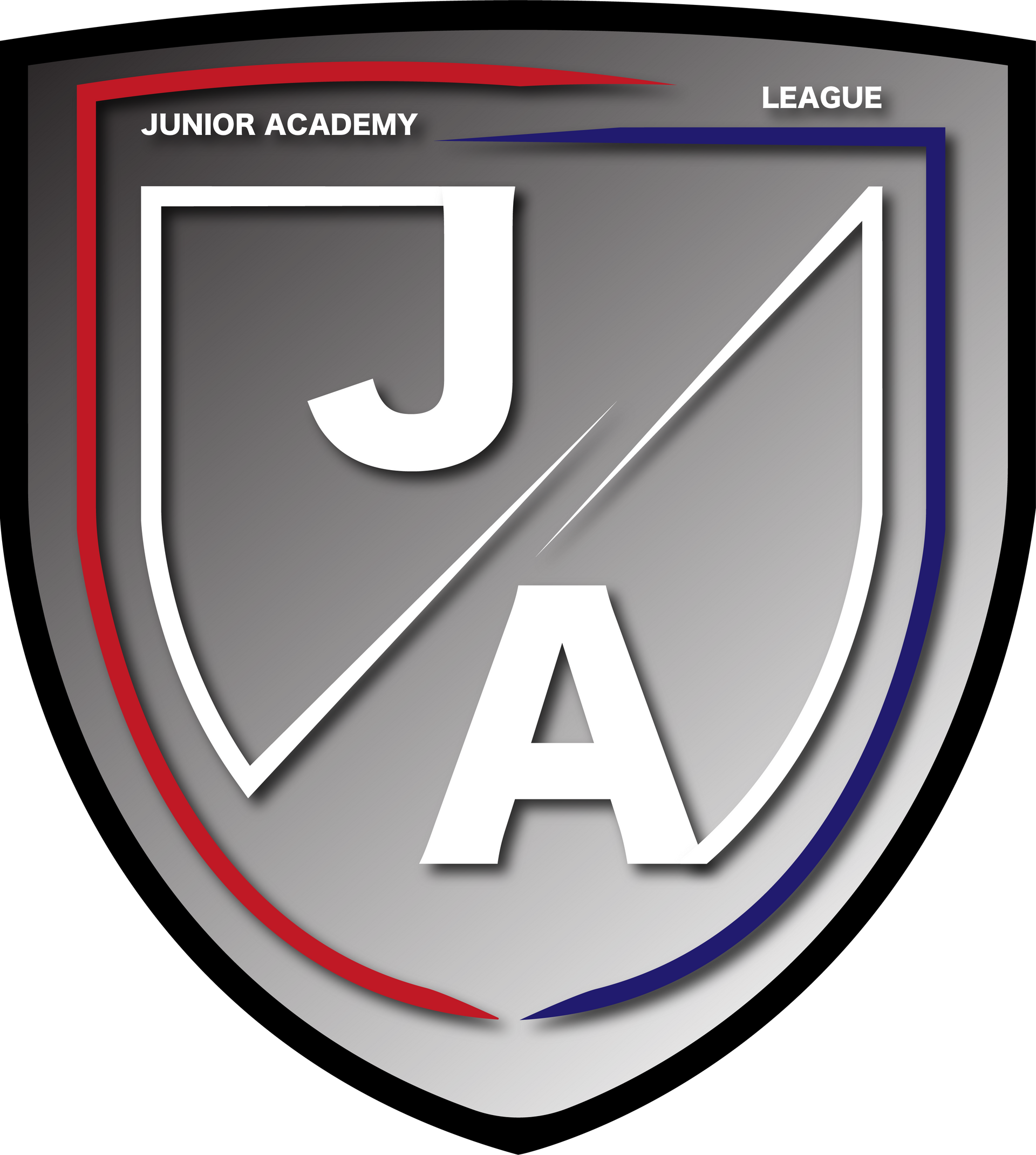 Professional Logo Design Services | Zikoba