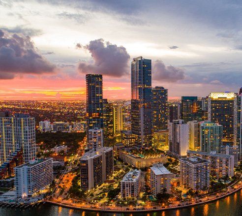 The Noble 33 Collection