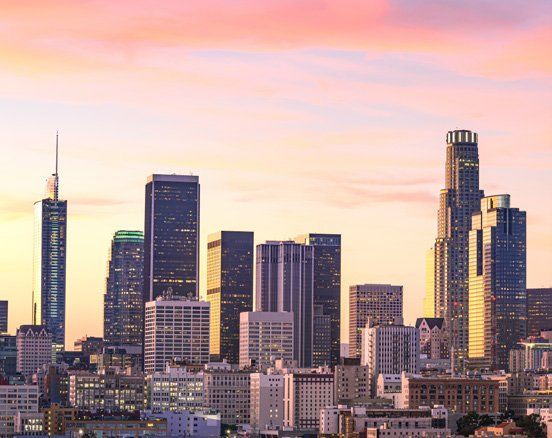 The Noble 33 Collection