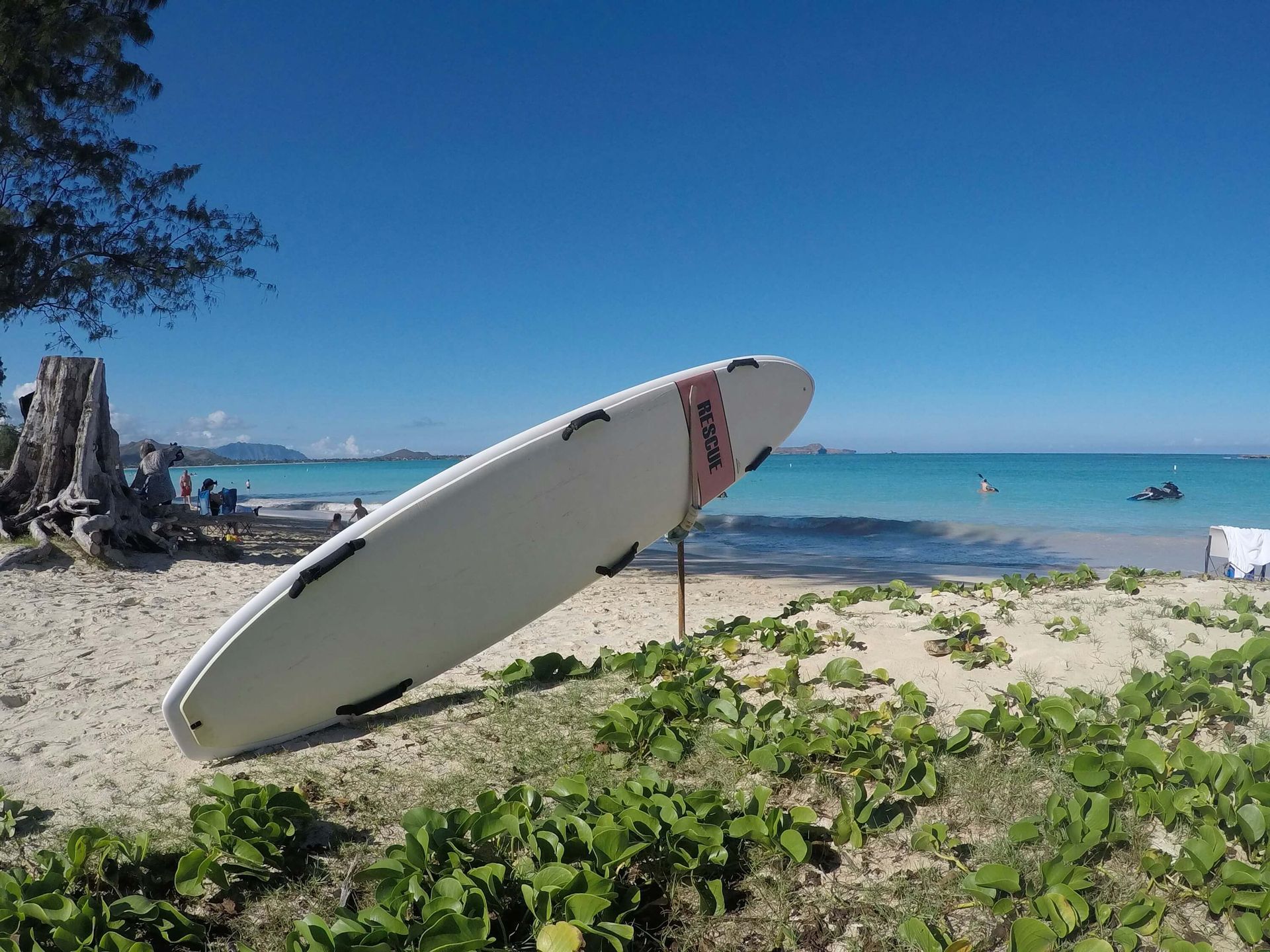 Hawaii Travel Requirements & Restrictions