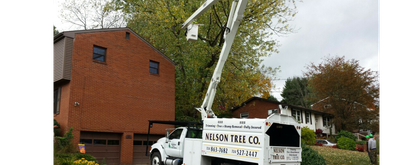Nelson Tree Company | Westmoreland County, PA