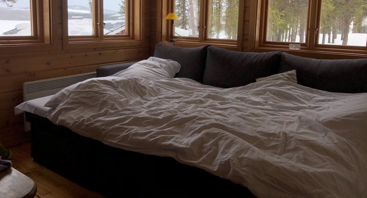 Futon vs Sofa Bed vs Bed vs Murphy Bed: Which Is Best For Me?