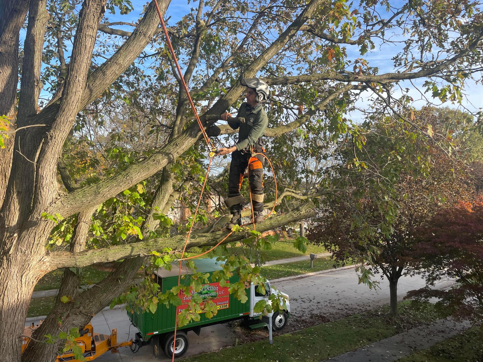 Home - Metro Detroit Tree and Firewood